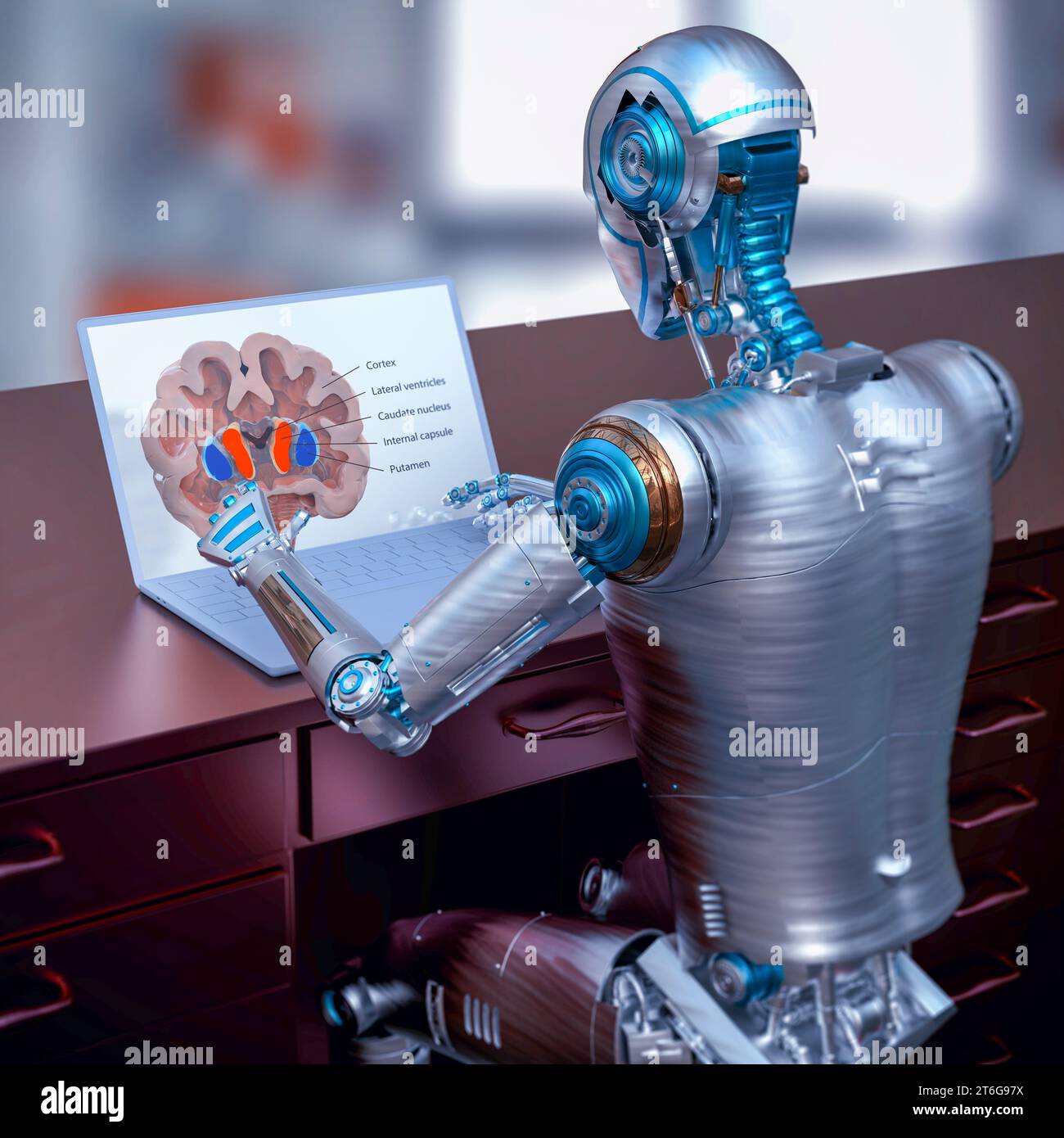 3D illustration of a humanoid robot studying human brain with a laptop ...
