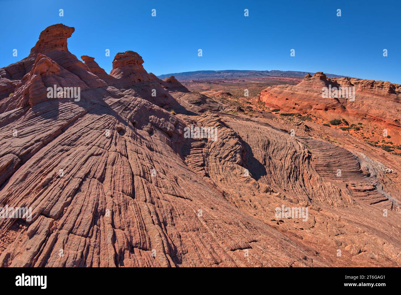 The new wave az hi-res stock photography and images - Alamy