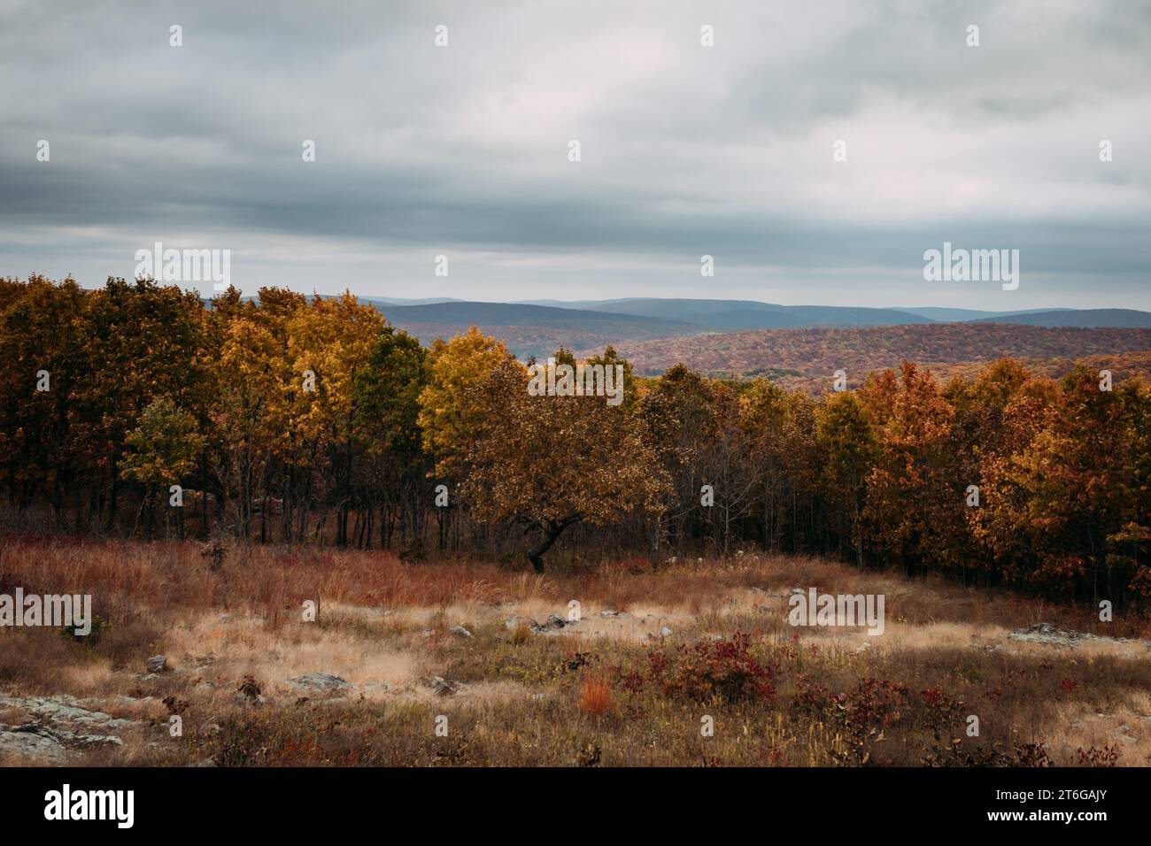 Taum Sauk Mountain State Park overlook during fall day Stock Photo - Alamy