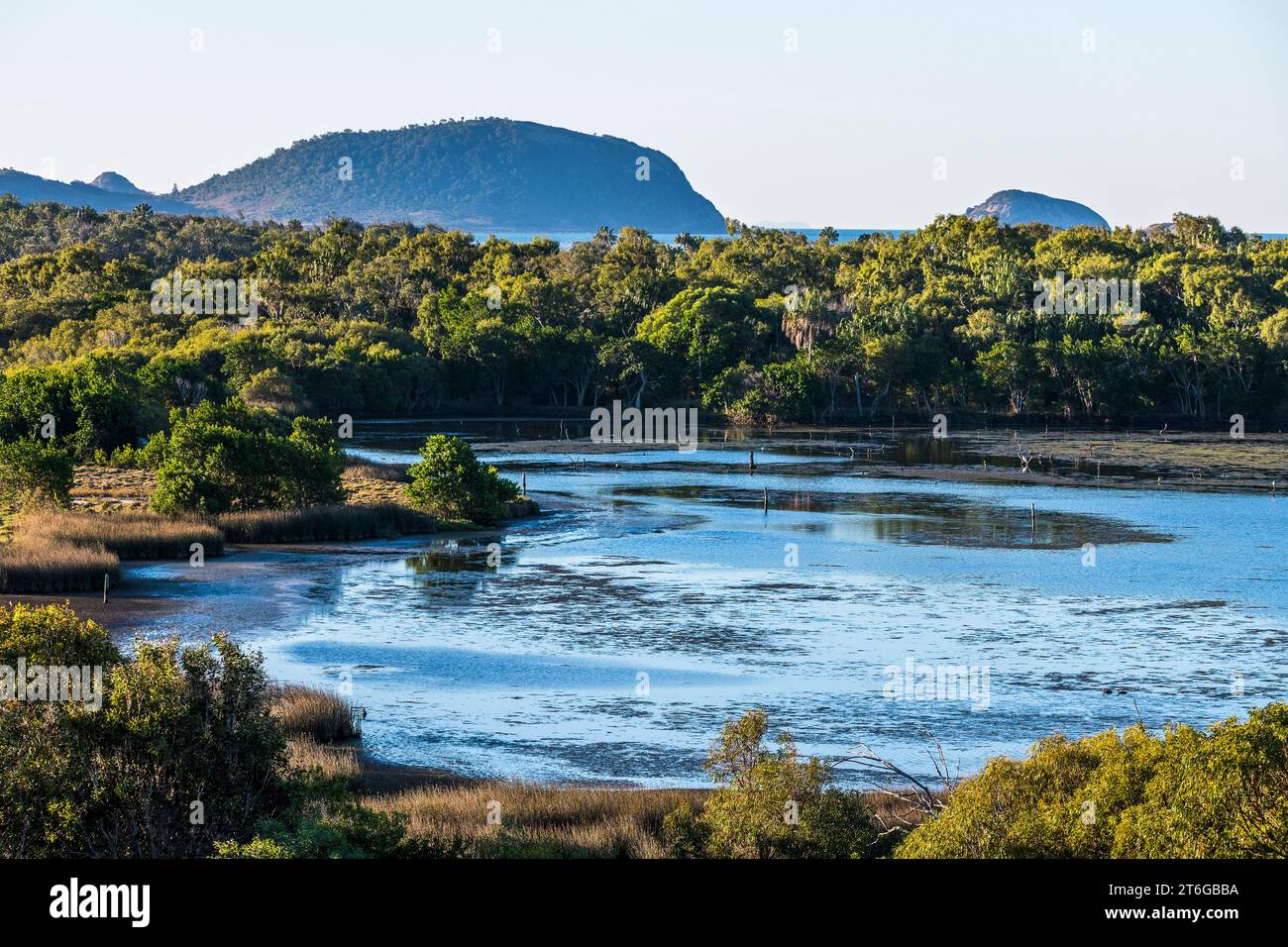Tranquil Kinka Wetlands at Kinka Beach, Queensland - A Haven of Biodiversity and Natural Beauty ...