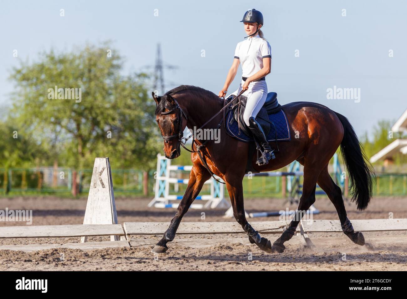 Young rider woman riding horse warming up before showjumping ...