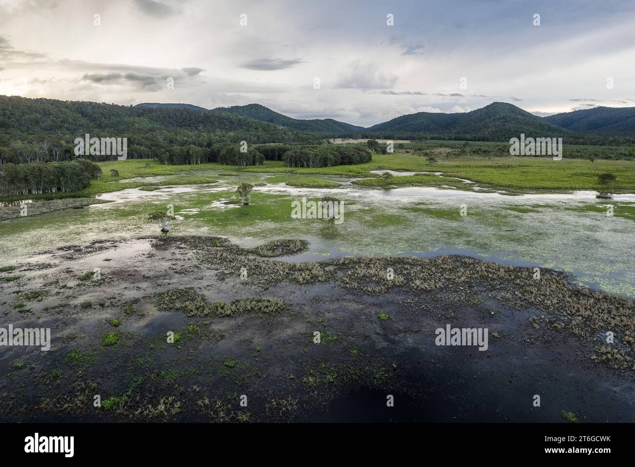 Serene Marshlands North of Yeppoon, Queensland - A Glimpse into the ...
