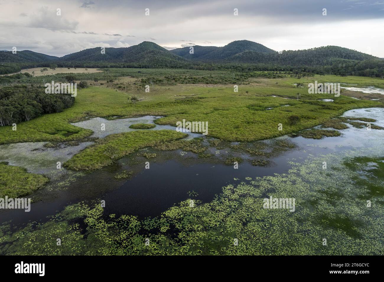 Serene Marshlands North of Yeppoon, Queensland - A Glimpse into the ...