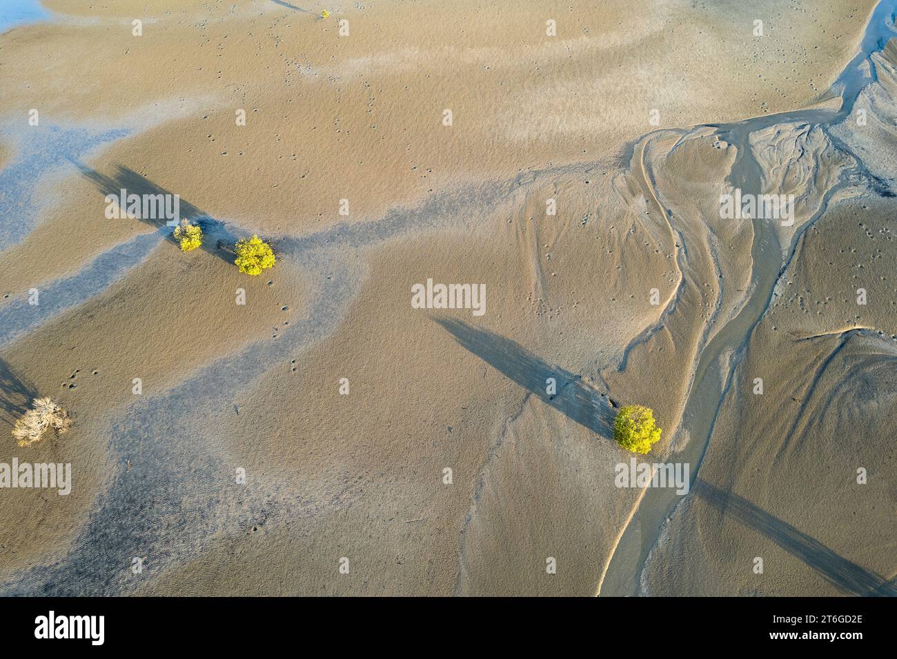 Enchanting Coconut Point Conservation Park in Zilzie, Near Yeppoon ...