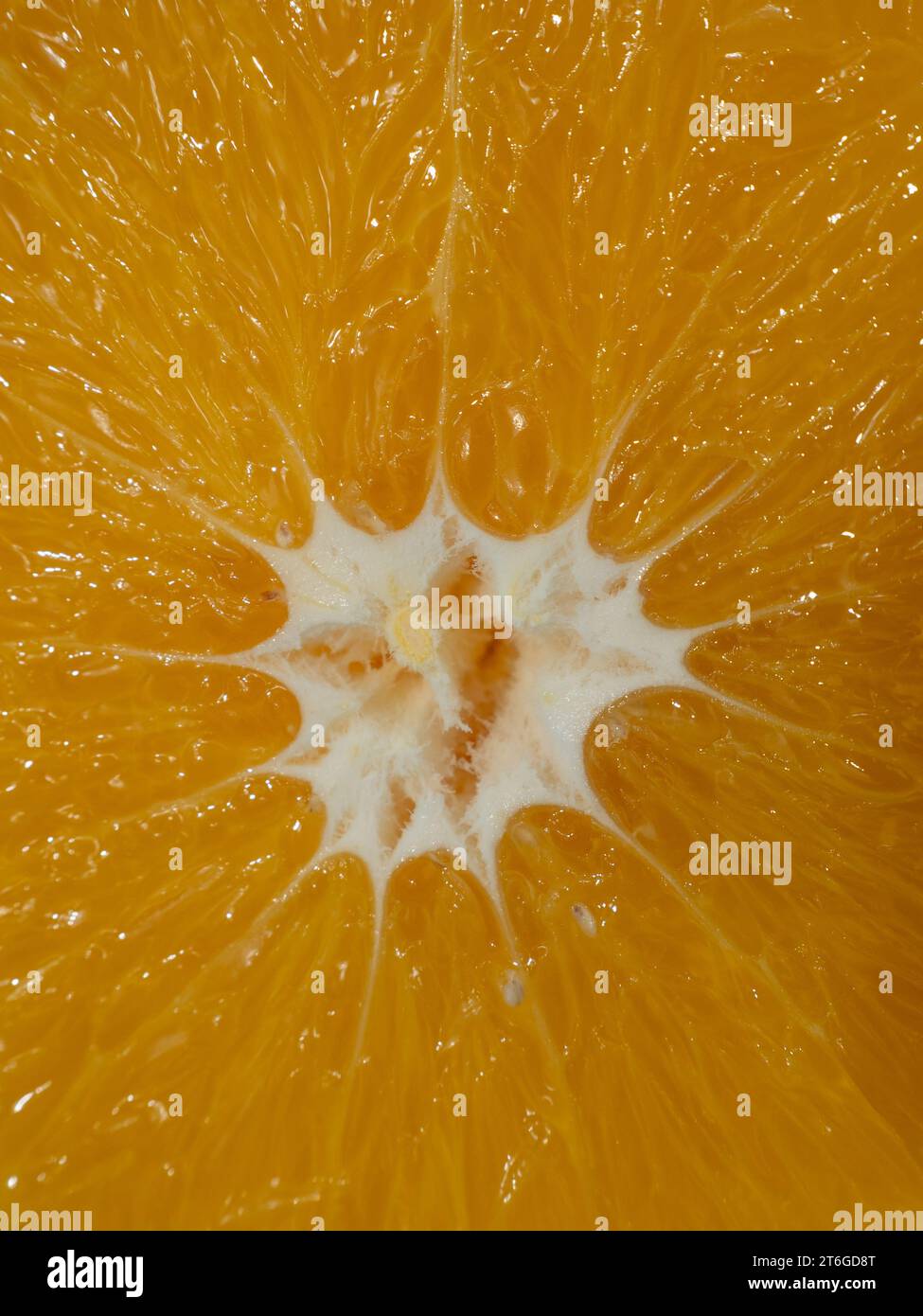 Orange background. Orange pulp in cross section Stock Photo - Alamy