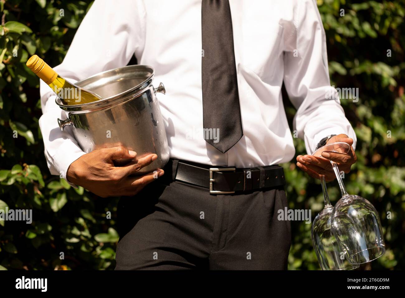 Server delivering white wine champagne on the hillside in South Africa ...