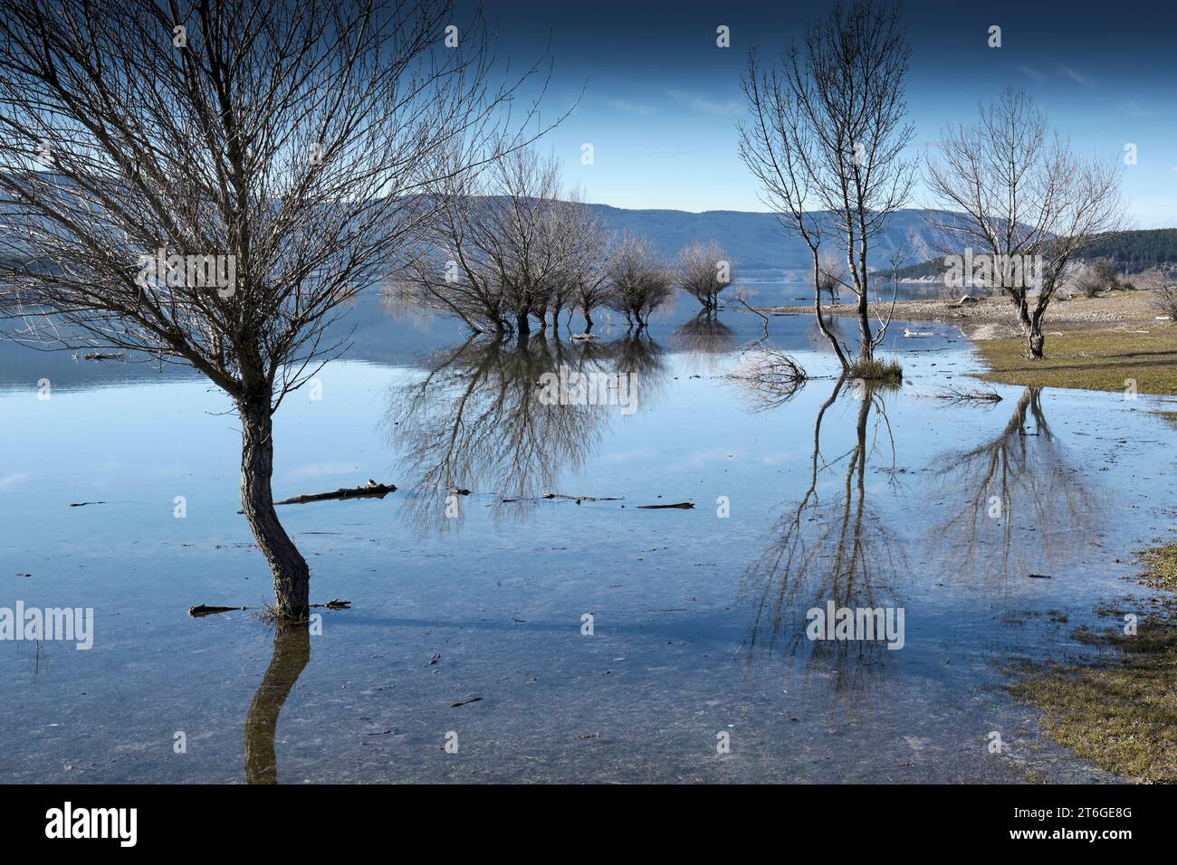 Trees and their reflection on the shore of a flooded lake. Yesa ...