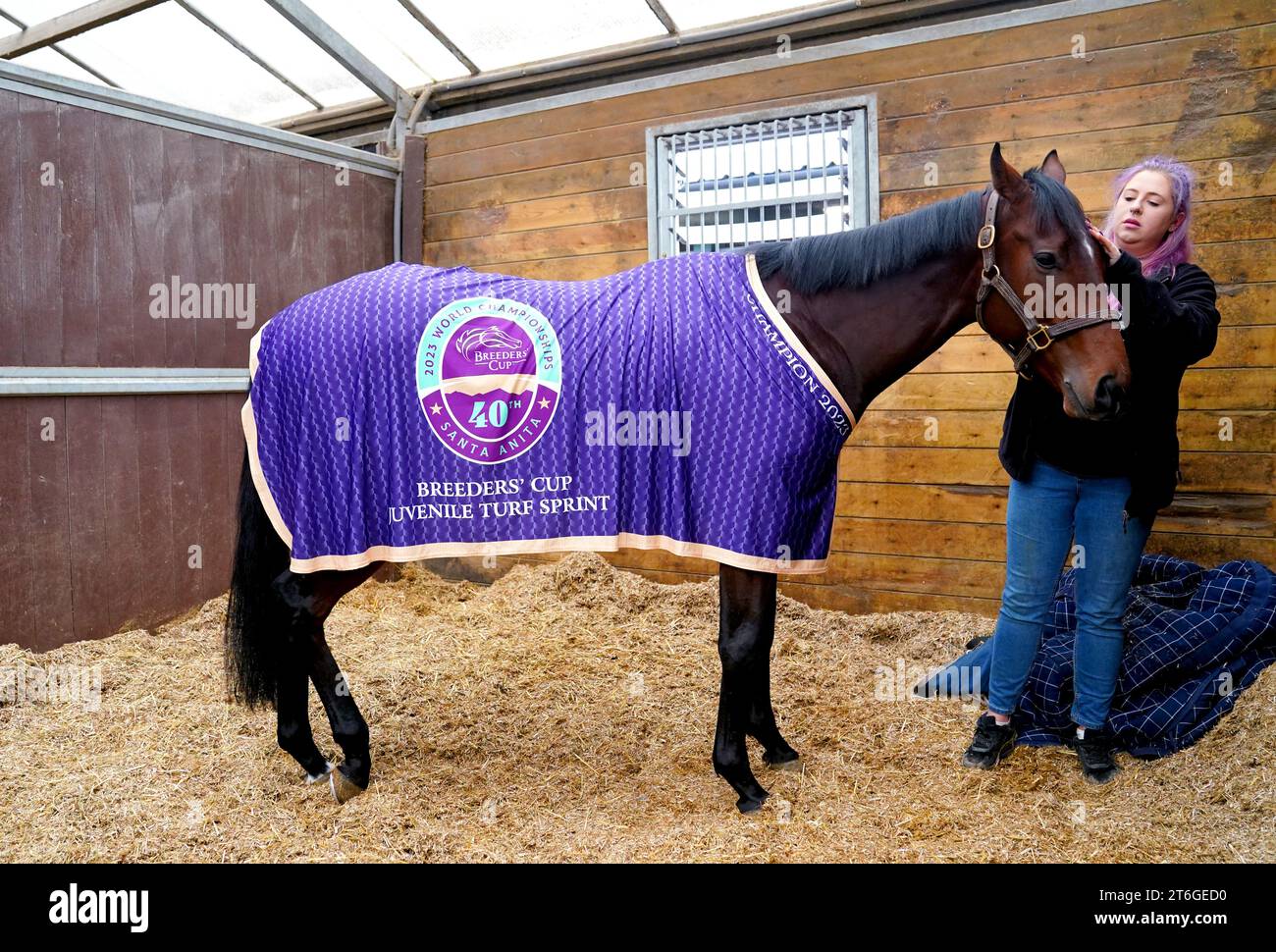 Big Evs with head girl Tara Belfield during a visit to Mick Appleby ...