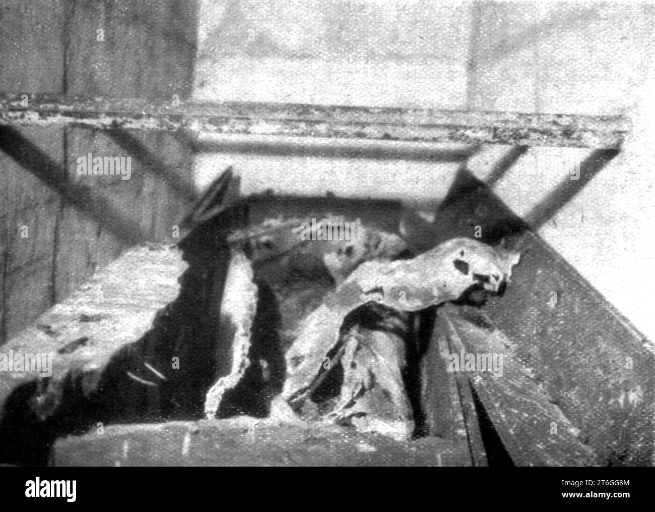 World war i france destruction and pillage hi-res stock photography and ...