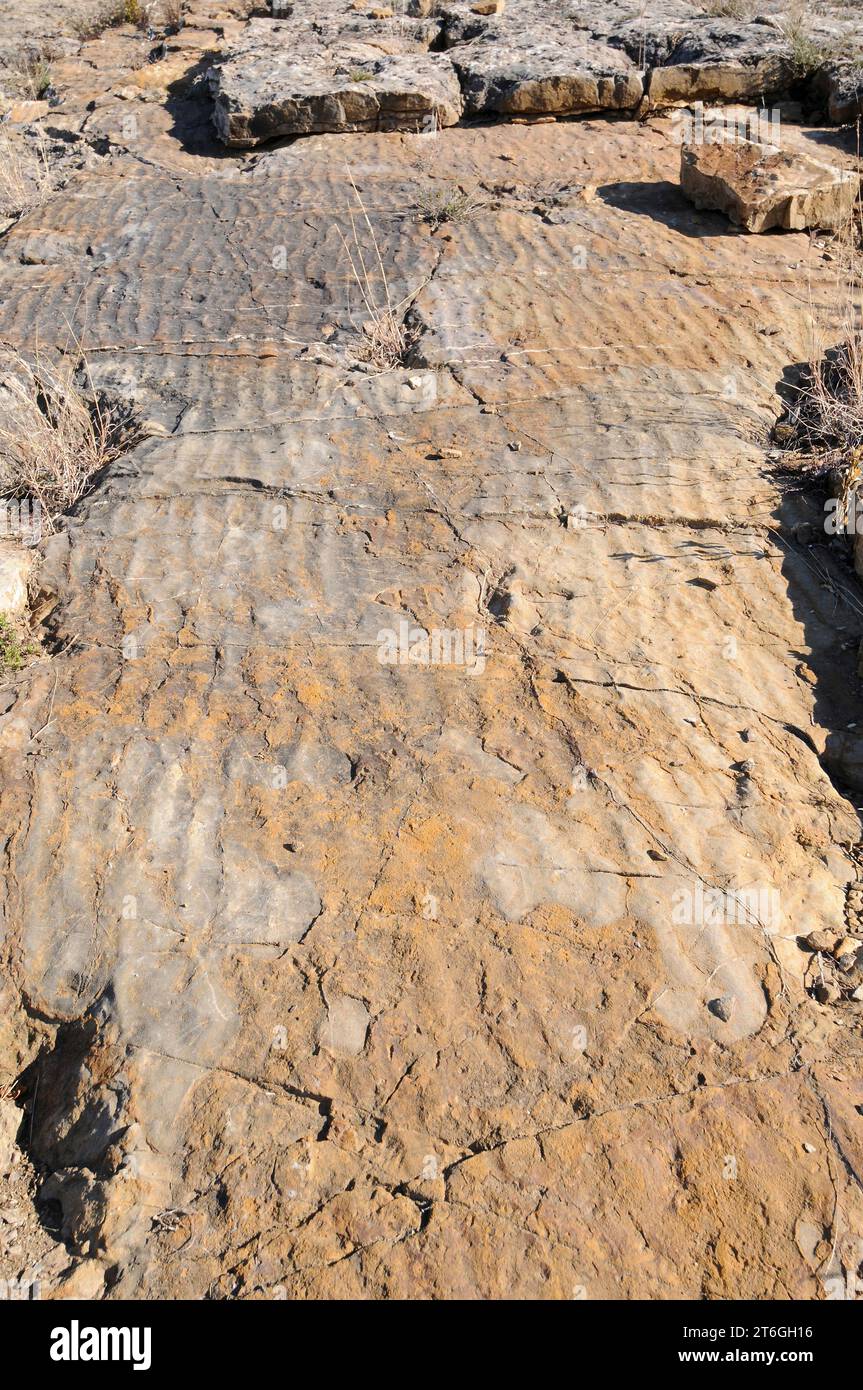 Sedimentary structure hi-res stock photography and images - Alamy