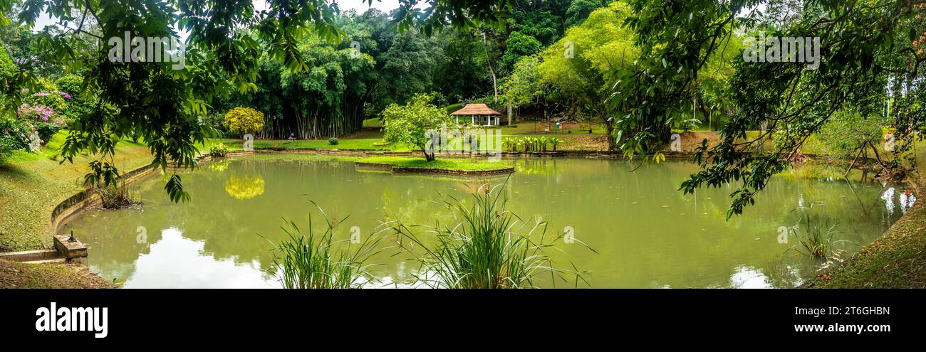 Royal Botanical Gardens of Peradeniya in Sri Lanka Stock Photo - Alamy