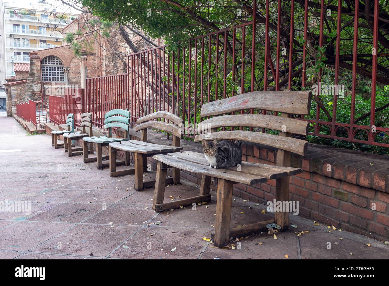 Row of wooden benches in Thessaloniki city, Greece Stock Photo - Alamy