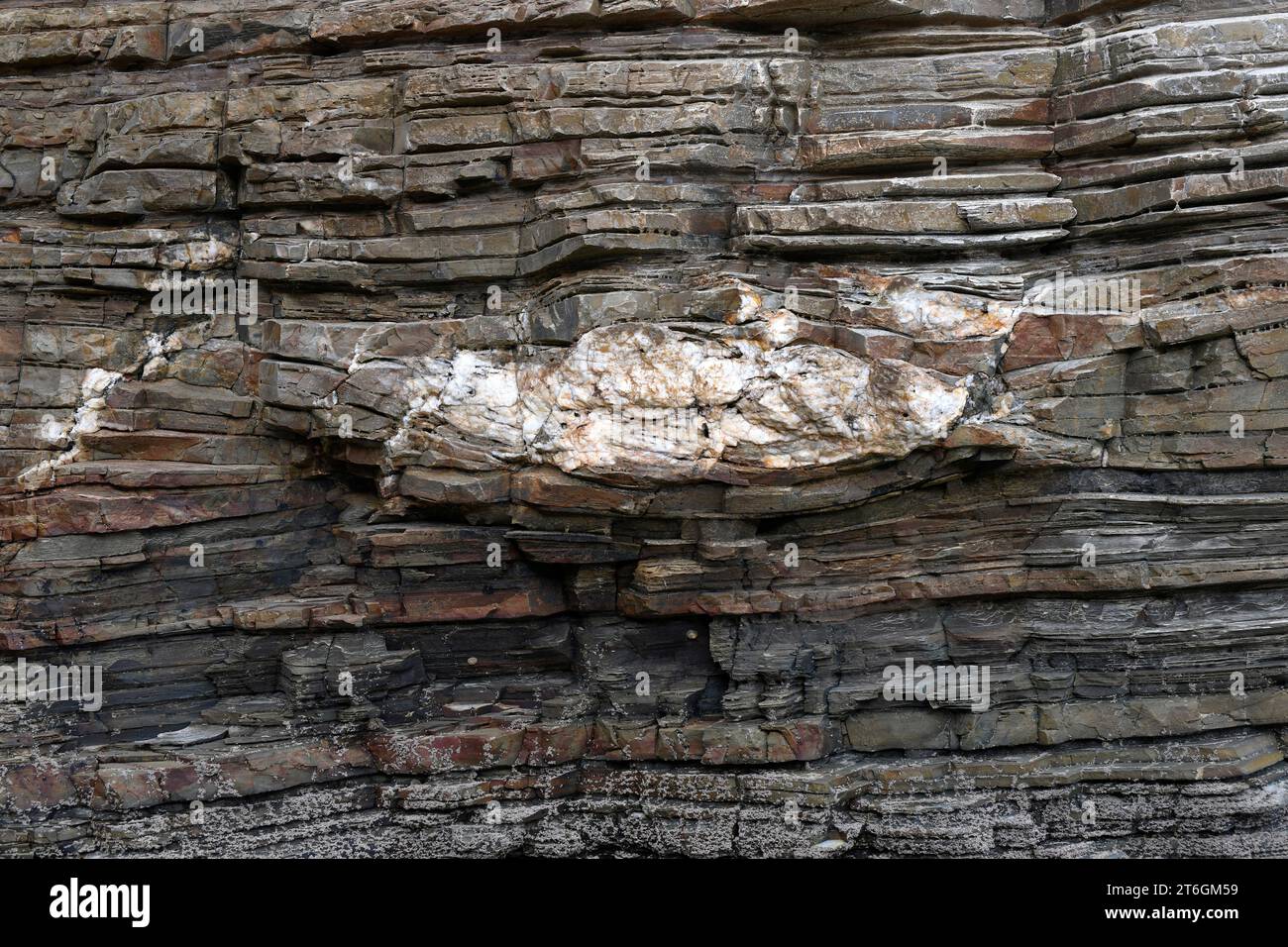 Quartz vein between quartzite layers. As Catedrais beach, Ribadeo, Lugo ...