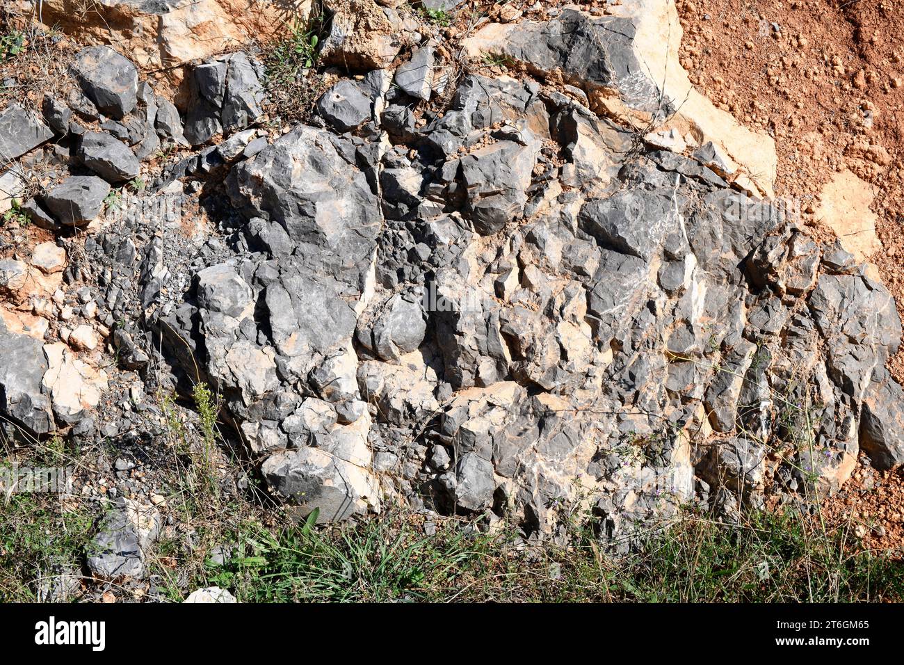 Black limestone from the Jurassic (160 million ago). Aldealpozo, Soria ...