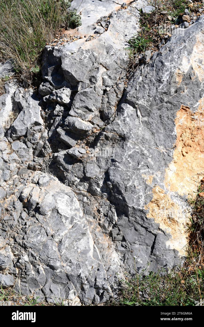 Black limestone from the Jurassic (160 million ago). Aldealpozo, Soria ...