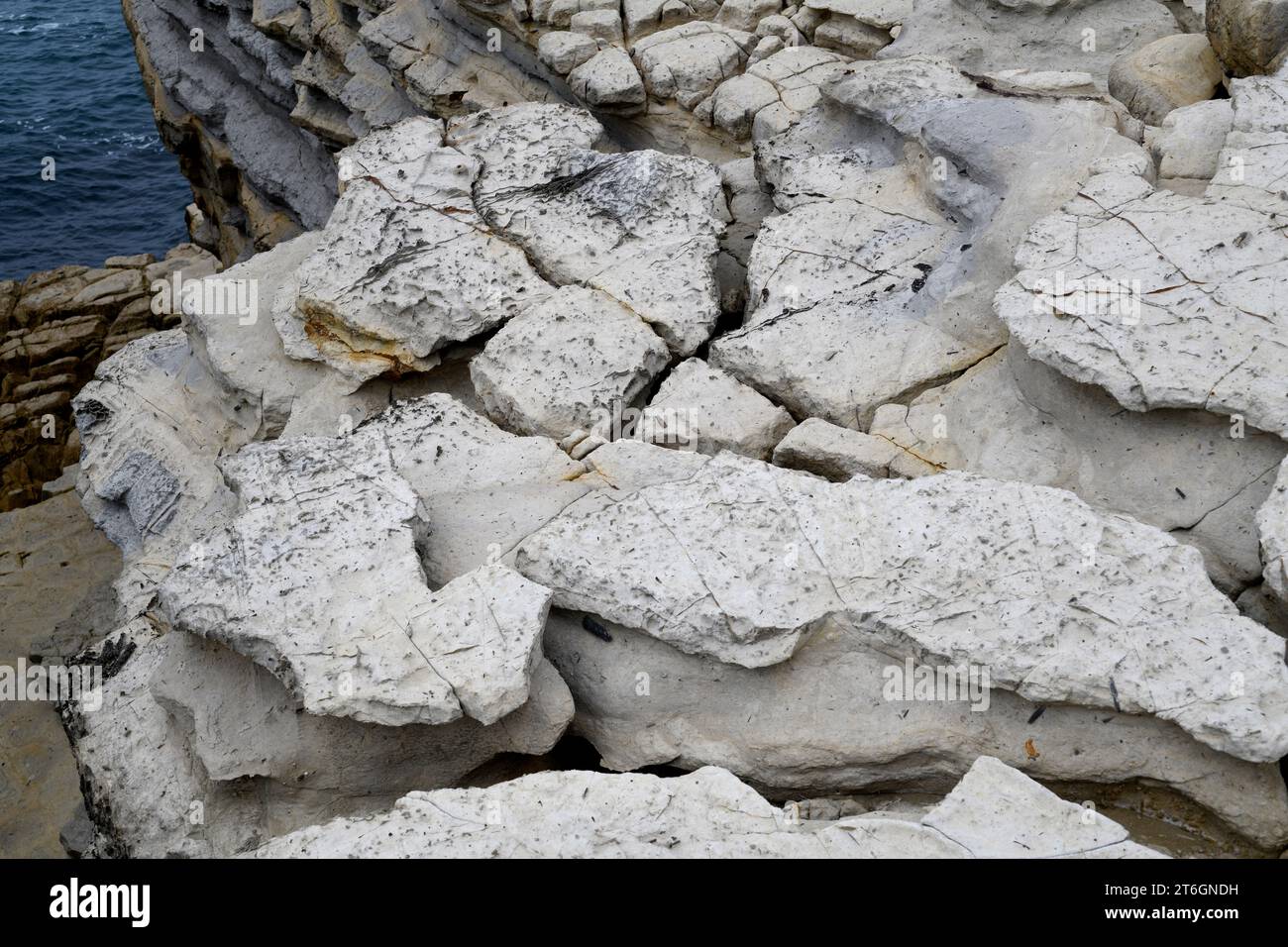 Fossil Belemnites in Ponta do Trobao, Geological Site of World ...