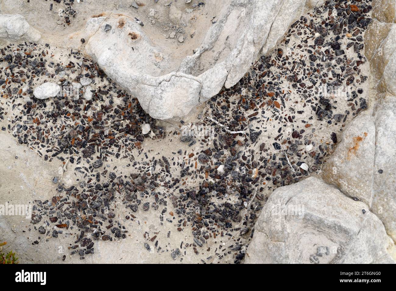 Fossil Belemnites in Ponta do Trobao, Geological Site of World ...