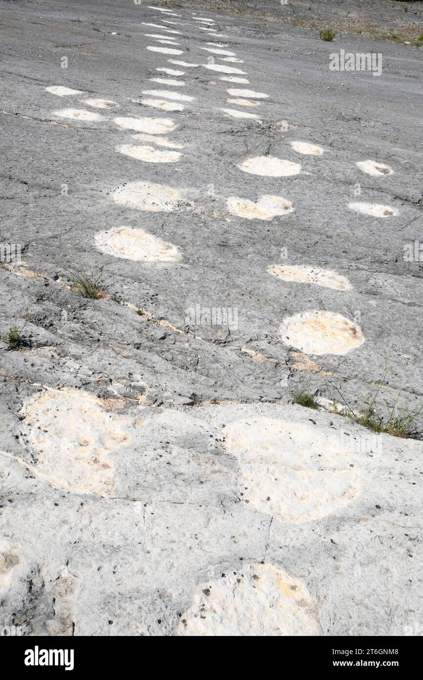 Sauropod dinosaur ichnites (footprints) from Middle Jurassic, 168 Ma ...