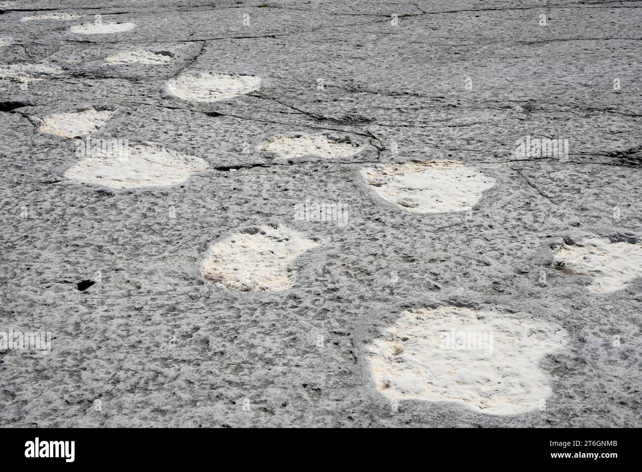 Sauropod dinosaur ichnites (footprints) from Middle Jurassic, 168 Ma ...