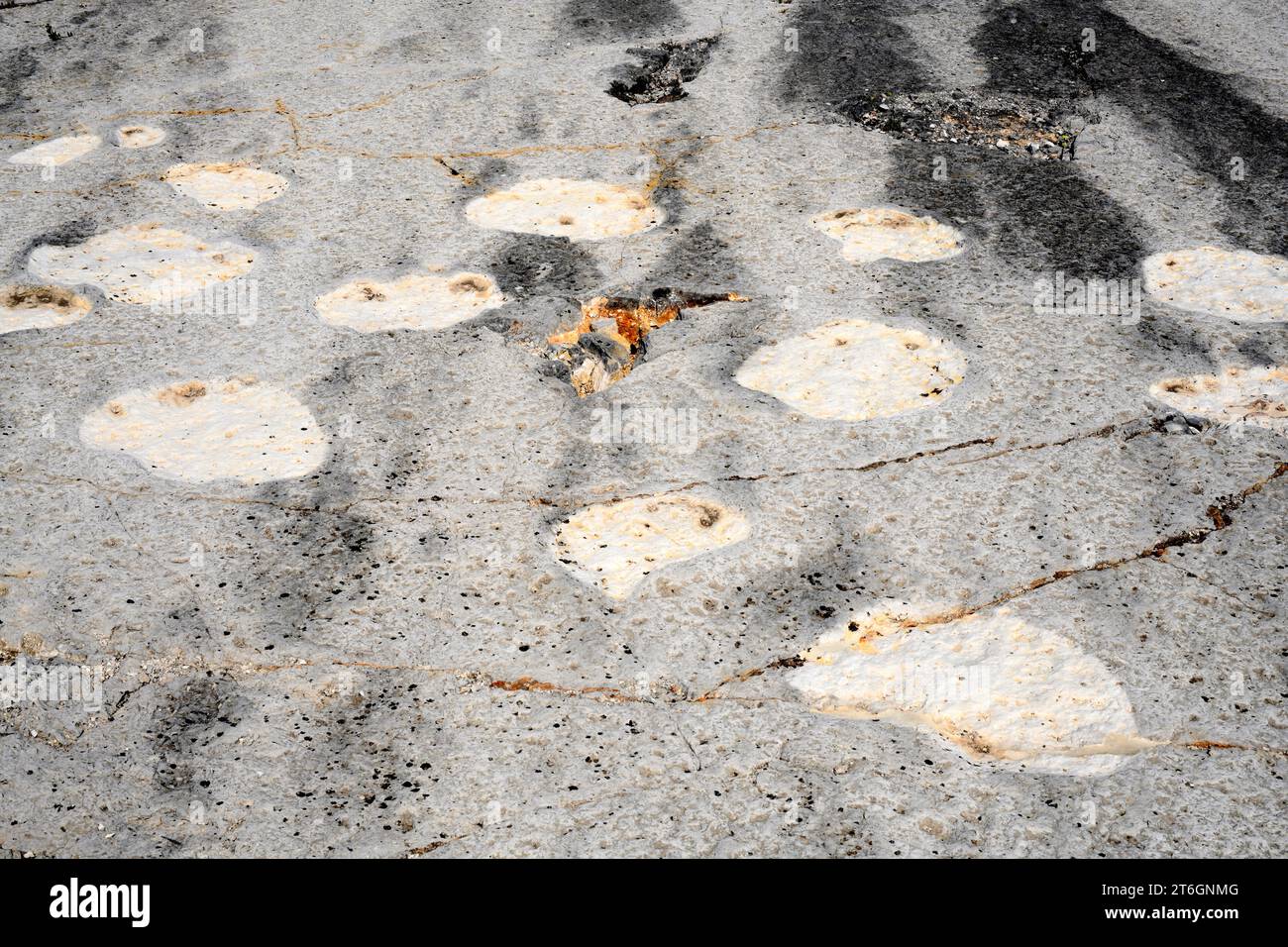Sauropod dinosaur ichnites (footprints) from Middle Jurassic, 168 Ma ...
