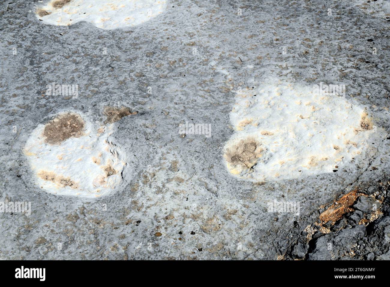 Sauropod dinosaur ichnites (footprints) from Middle Jurassic, 168 Ma ...