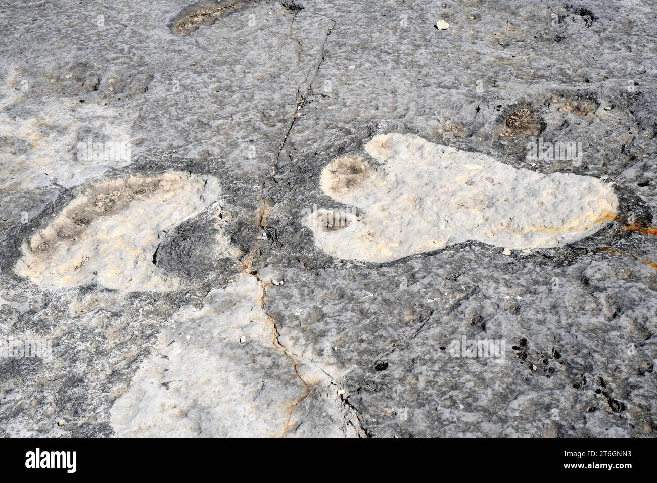 Sauropod dinosaur ichnites (footprints) from Middle Jurassic, 168 Ma ...