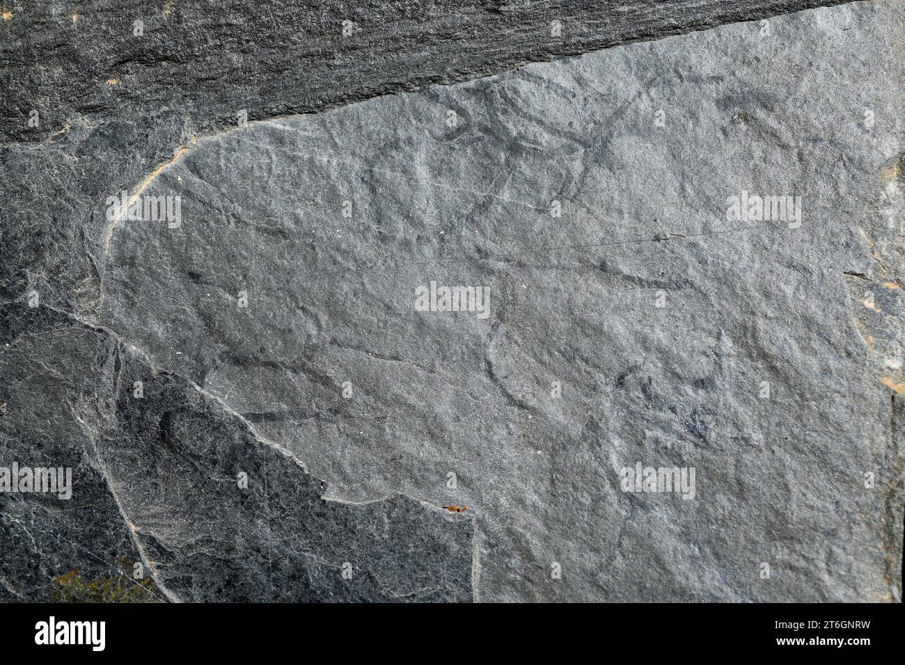Black lutite hi-res stock photography and images - Alamy