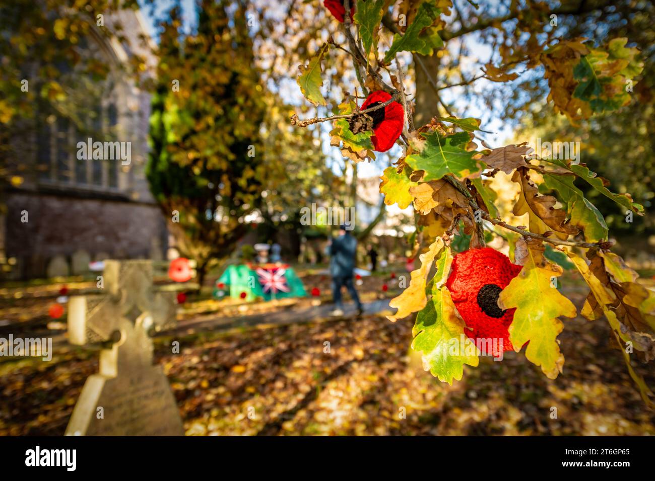St Marychurch, Devon UK. Friday 10 November 2023. The St Marychurch ...