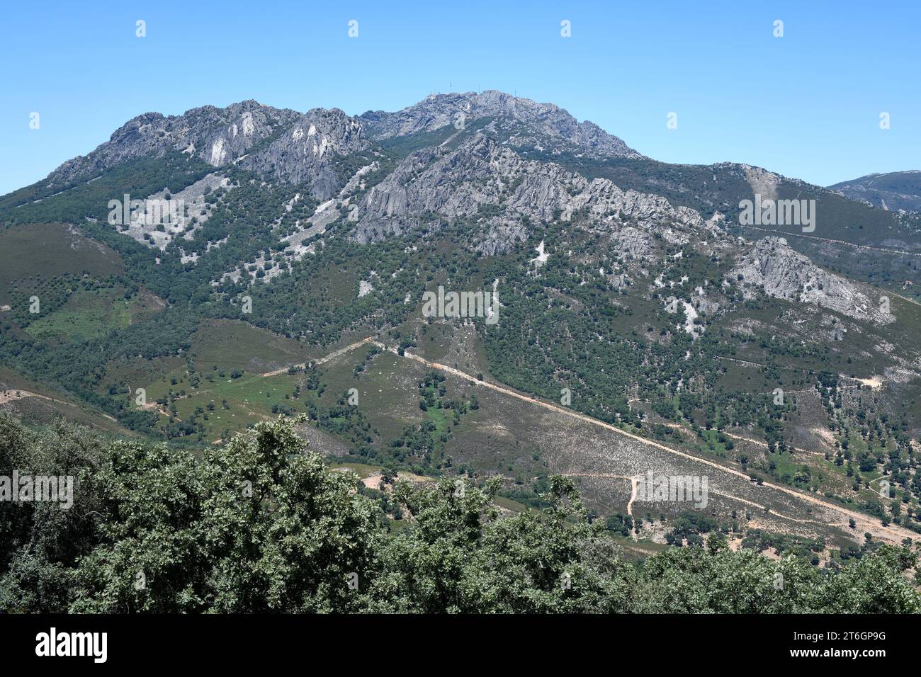 Armorican quartzite hi-res stock photography and images - Alamy