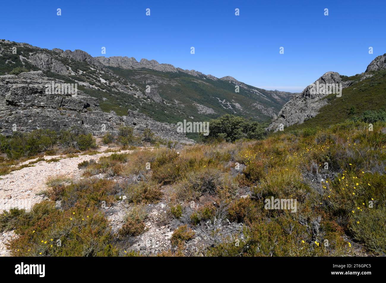 Armorican quartzite hi-res stock photography and images - Alamy
