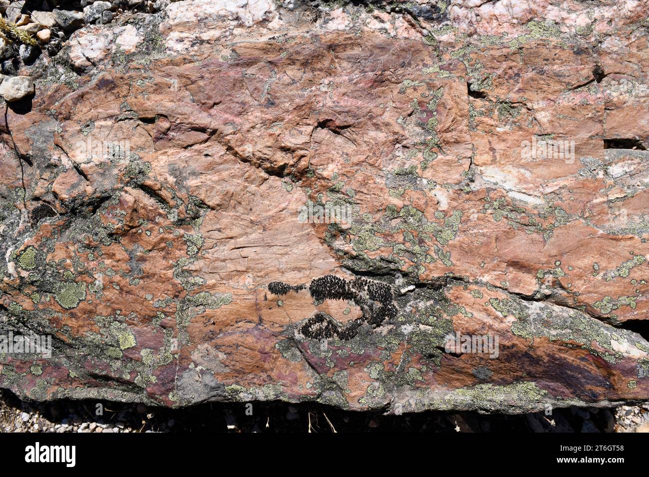 Armorican quartzite hi-res stock photography and images - Alamy