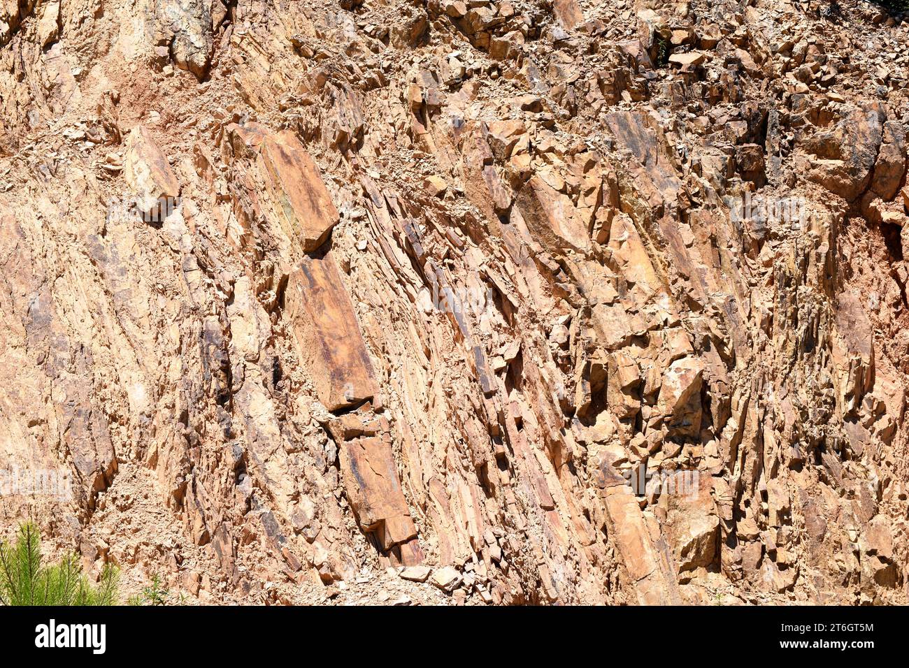 Armorican quartzites. This photo was taken in Villuercas-Ibores-Jara ...