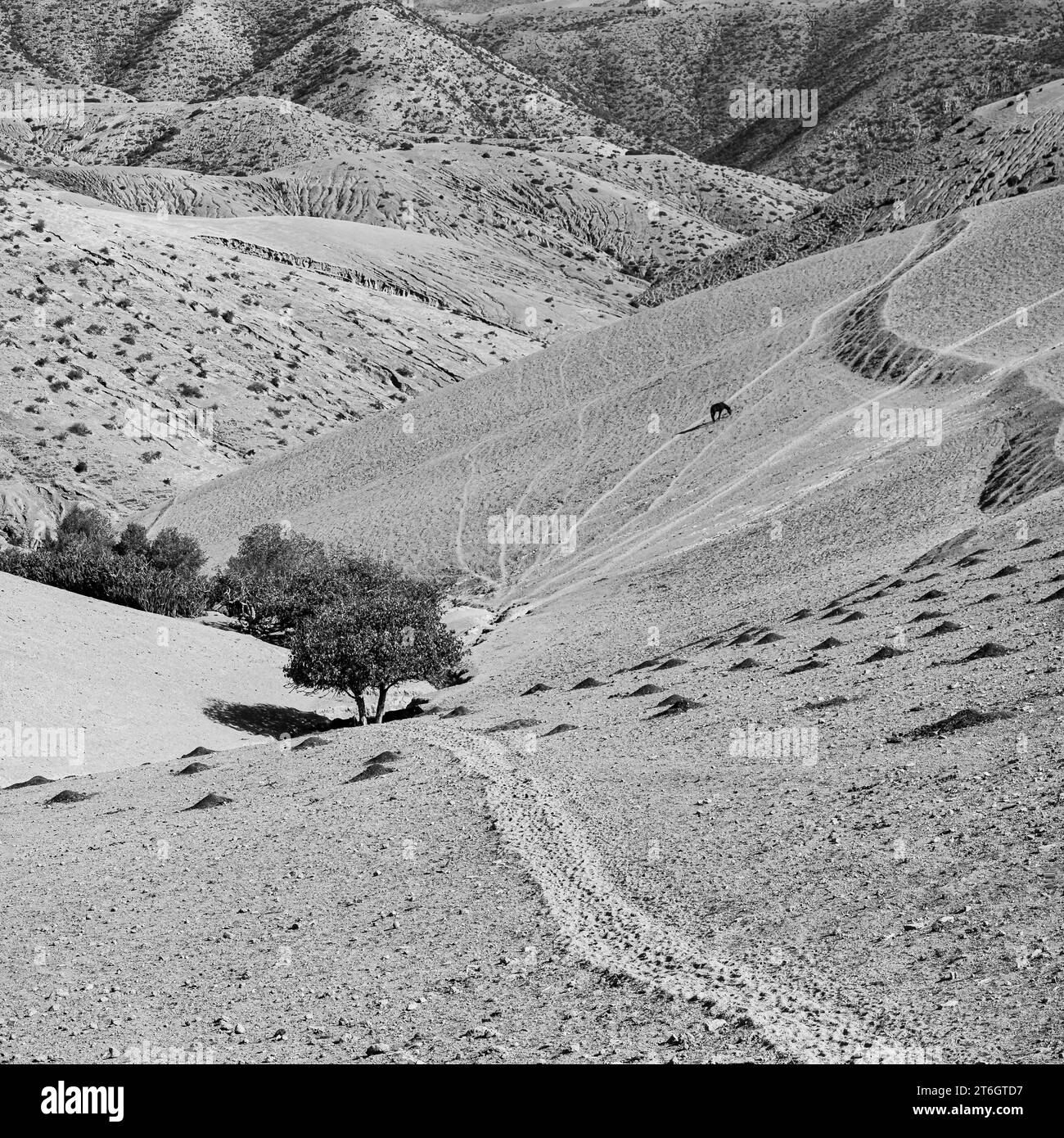 Moroccan countryside views Stock Photo - Alamy