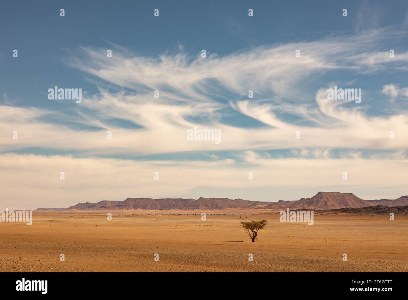Sahara desert scenes Stock Photo - Alamy
