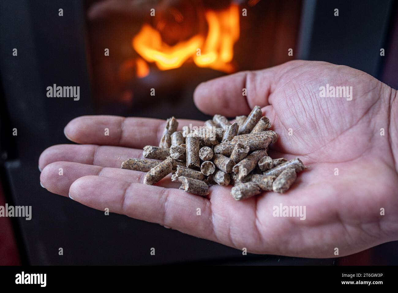 hand holding biomass pellets in front of a pellet stove Stock Photo - Alamy