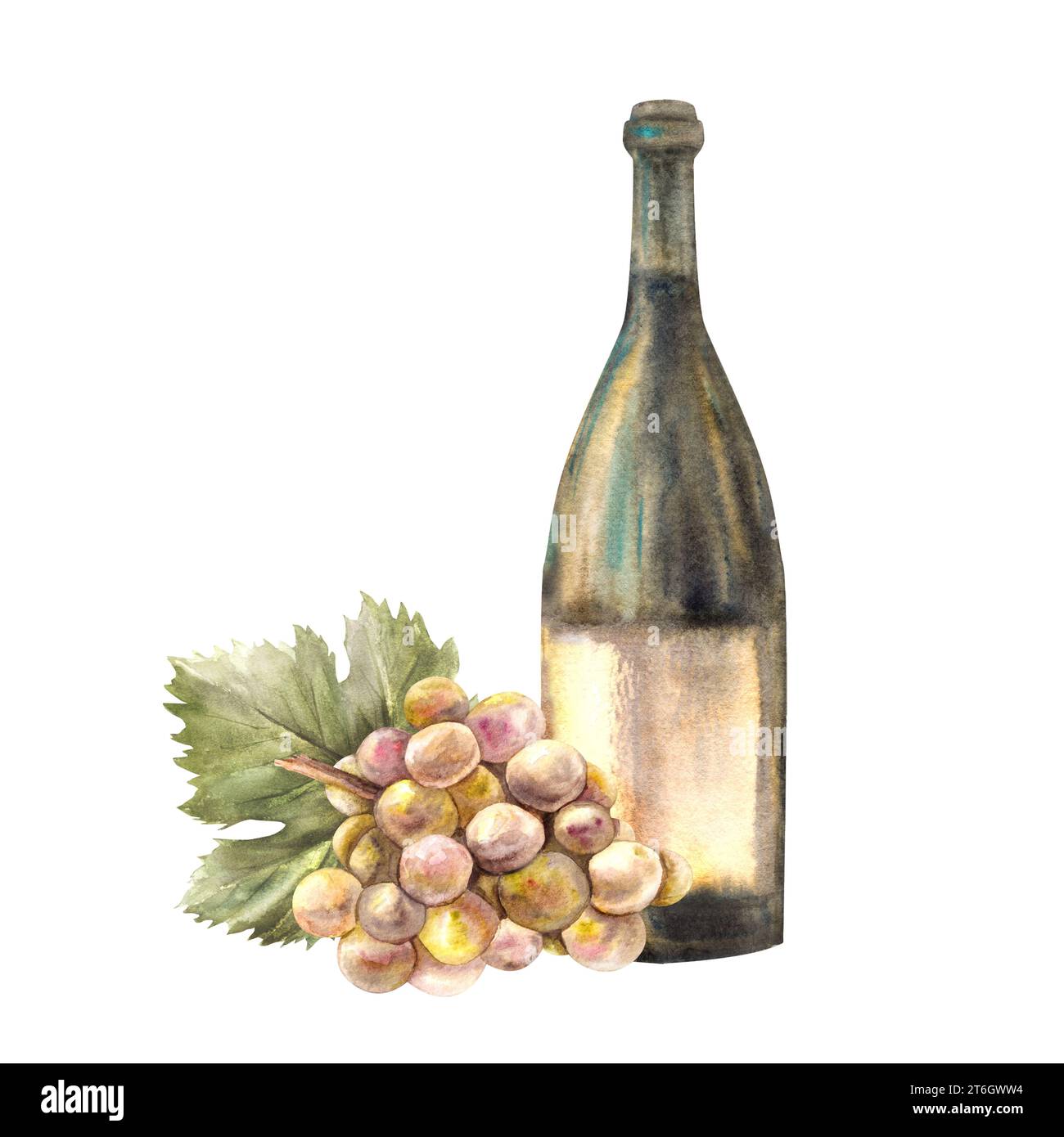 A bottle of white wine with bunch of grapes and grapevine Watercolour ...