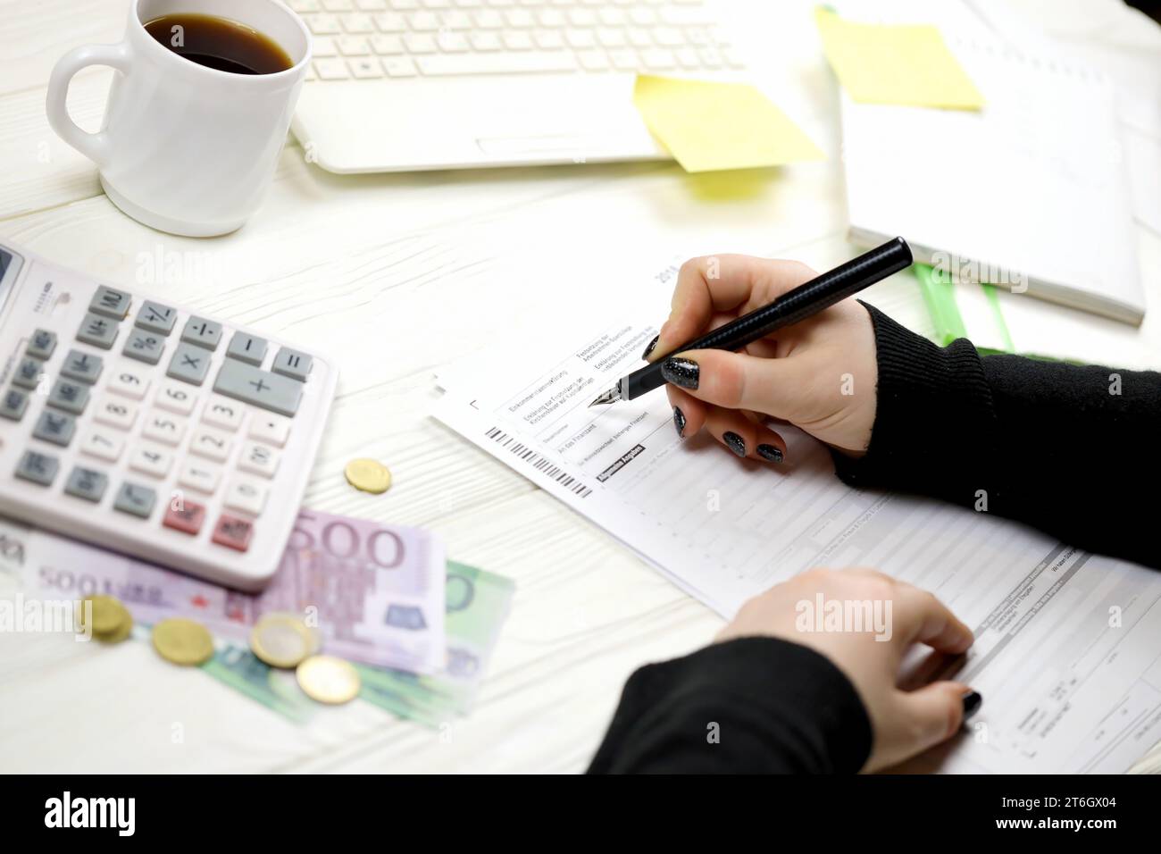 Accountant fill german tax form Einkommensteuererklarung in end of tax ...
