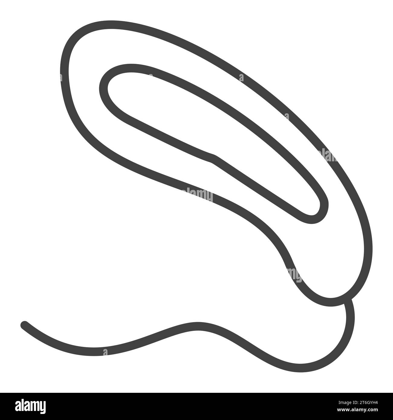 Prokaryote Bacteria vector concept thin line icon or symbol Stock ...