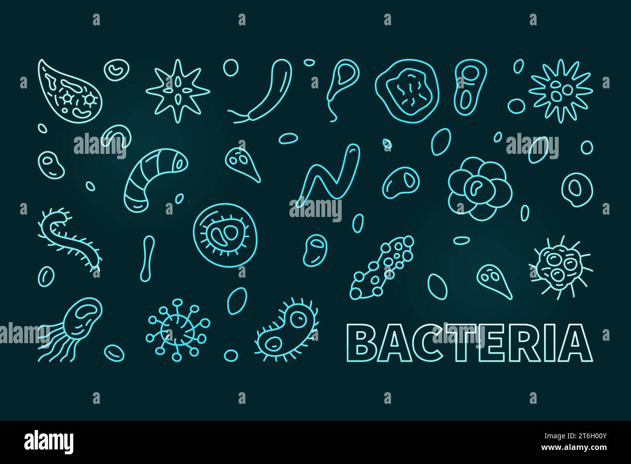 Bacteria concept Science horizontal colored banner with bacilli outline ...