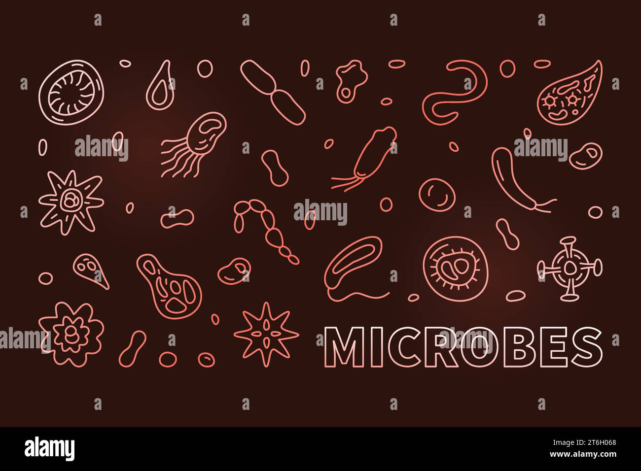 Microbes vector Micro Biology concept outline colored horizontal banner ...
