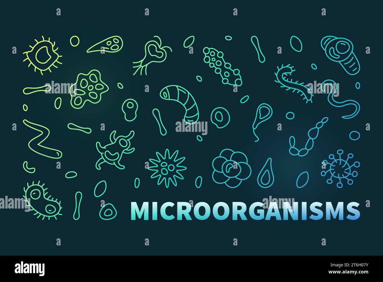 Microorganisms vector Micro Organisms concept linear colored horizontal ...