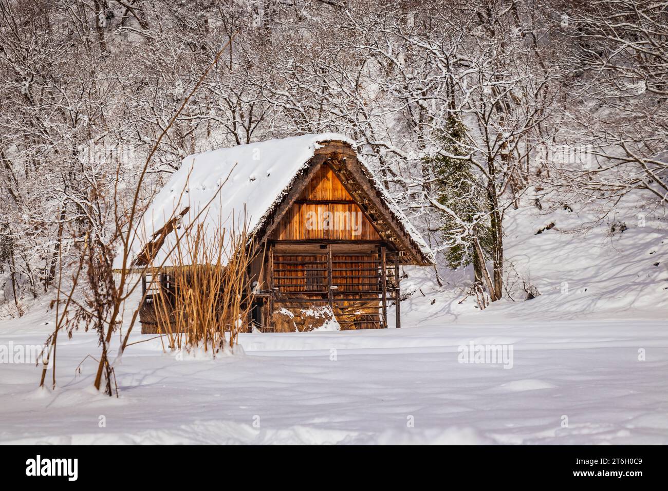 The snowy winter at Shirakawago, Prefecture Gifu, Japan, a UNESCO World ...