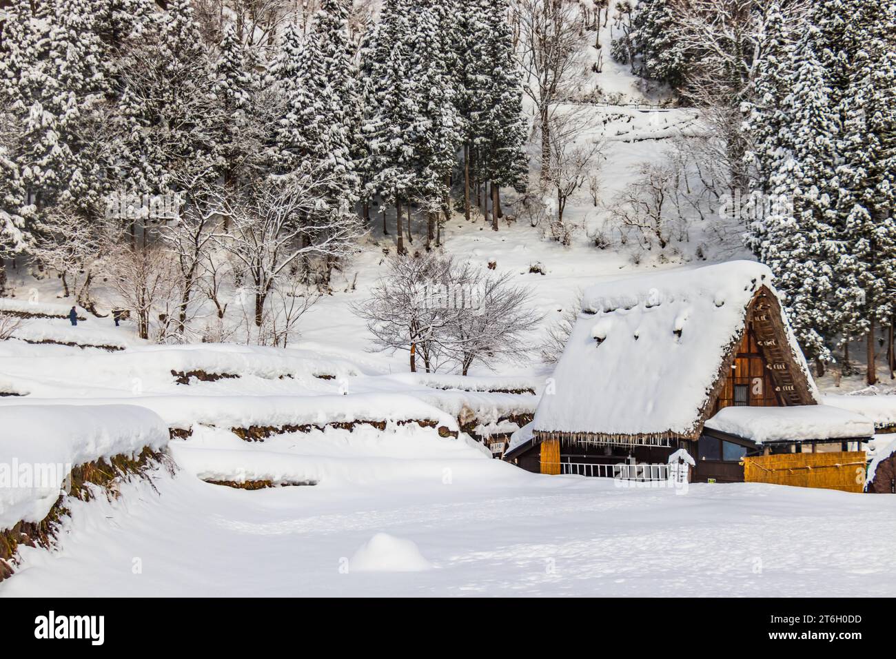The snowy winter at Shirakawago, Prefecture Gifu, Japan, a UNESCO World ...