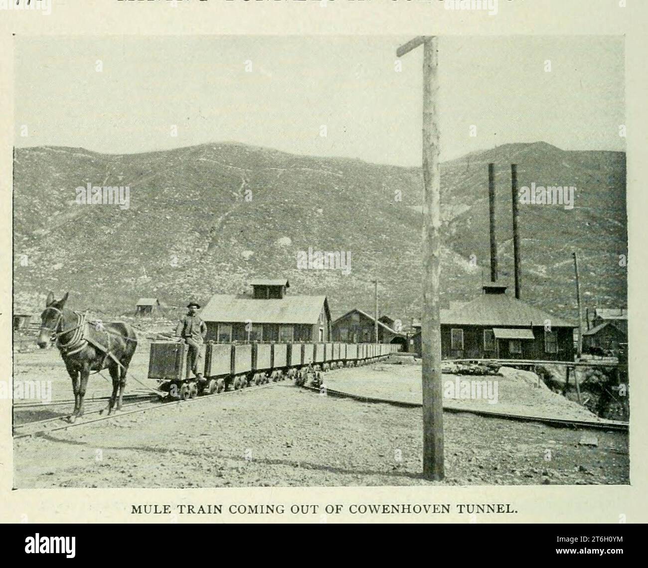 Mining mule hi-res stock photography and images - Alamy