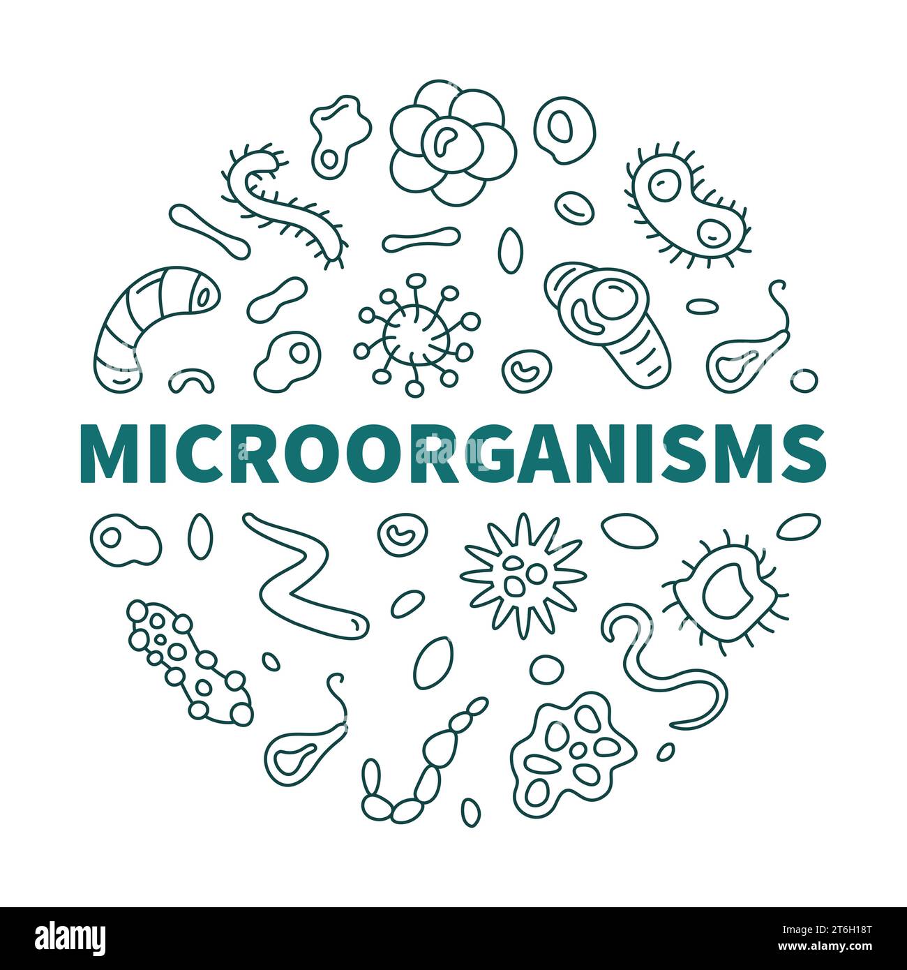 Microorganisms vector Micro Organisms concept line round banner or ...