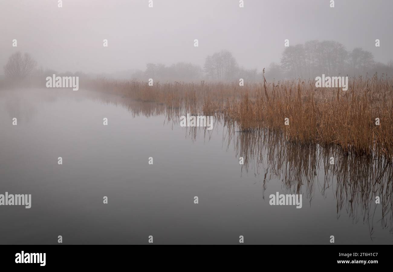 A misty start to the day over the lakes and reed beds at RSPB Ham Wall ...