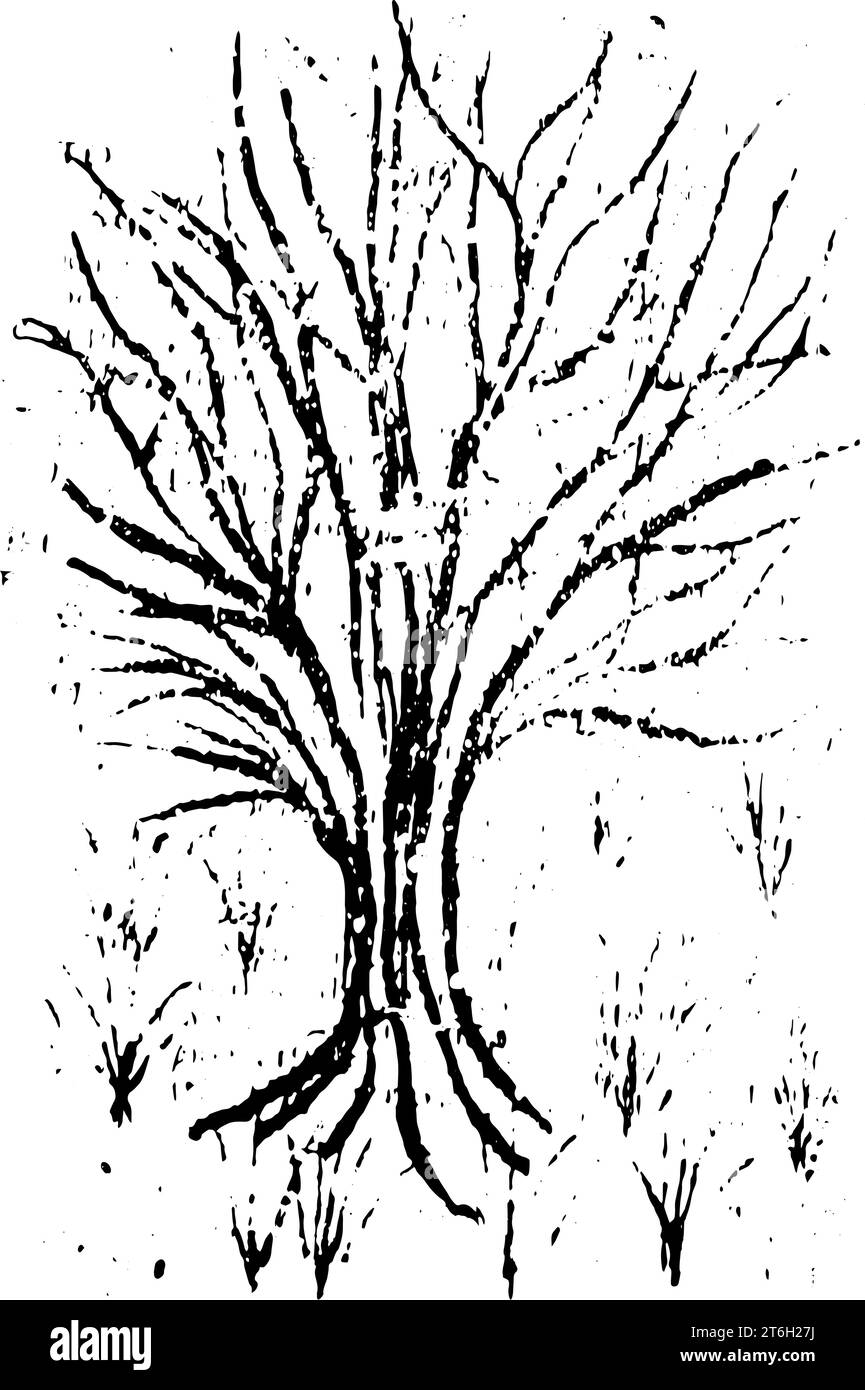 Tree. Vector hand drawn sketch illustration. Sloppy doodle grunge style ...