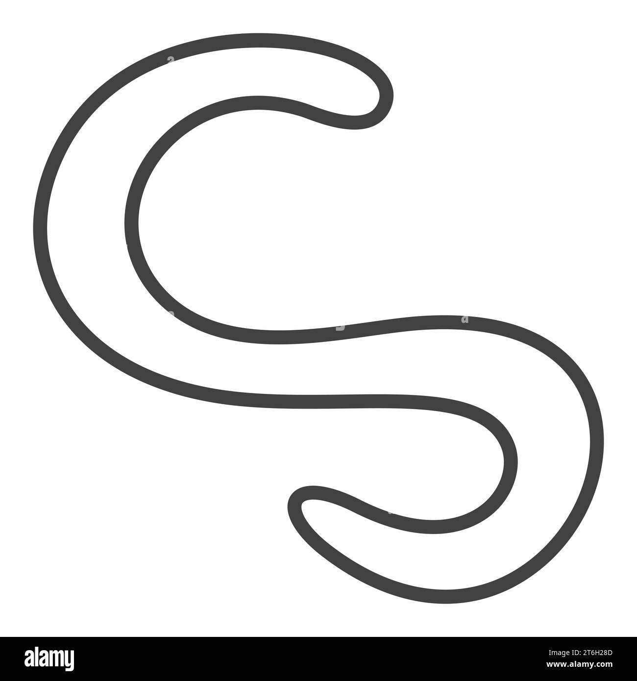 Spiral Bacterium vector Spirilla concept icon or sign in thin line style Stock Vector Image ...