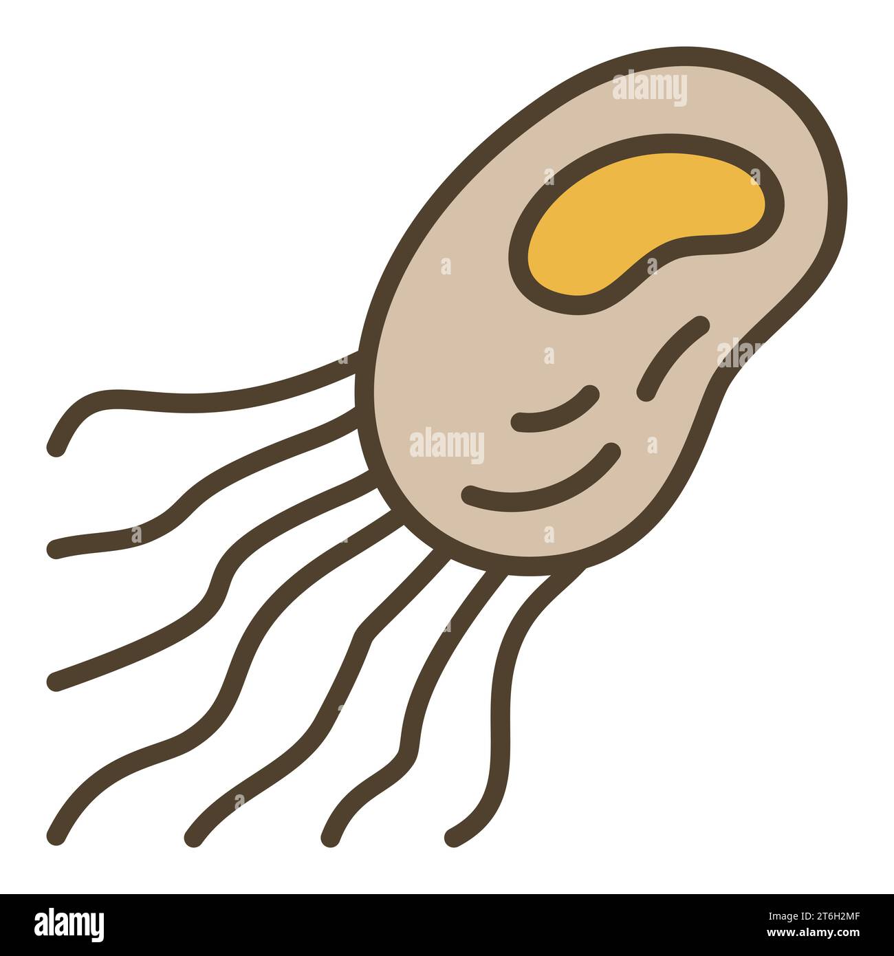 Prokaryote Microbe vector Microbiology concept colored icon or sign ...