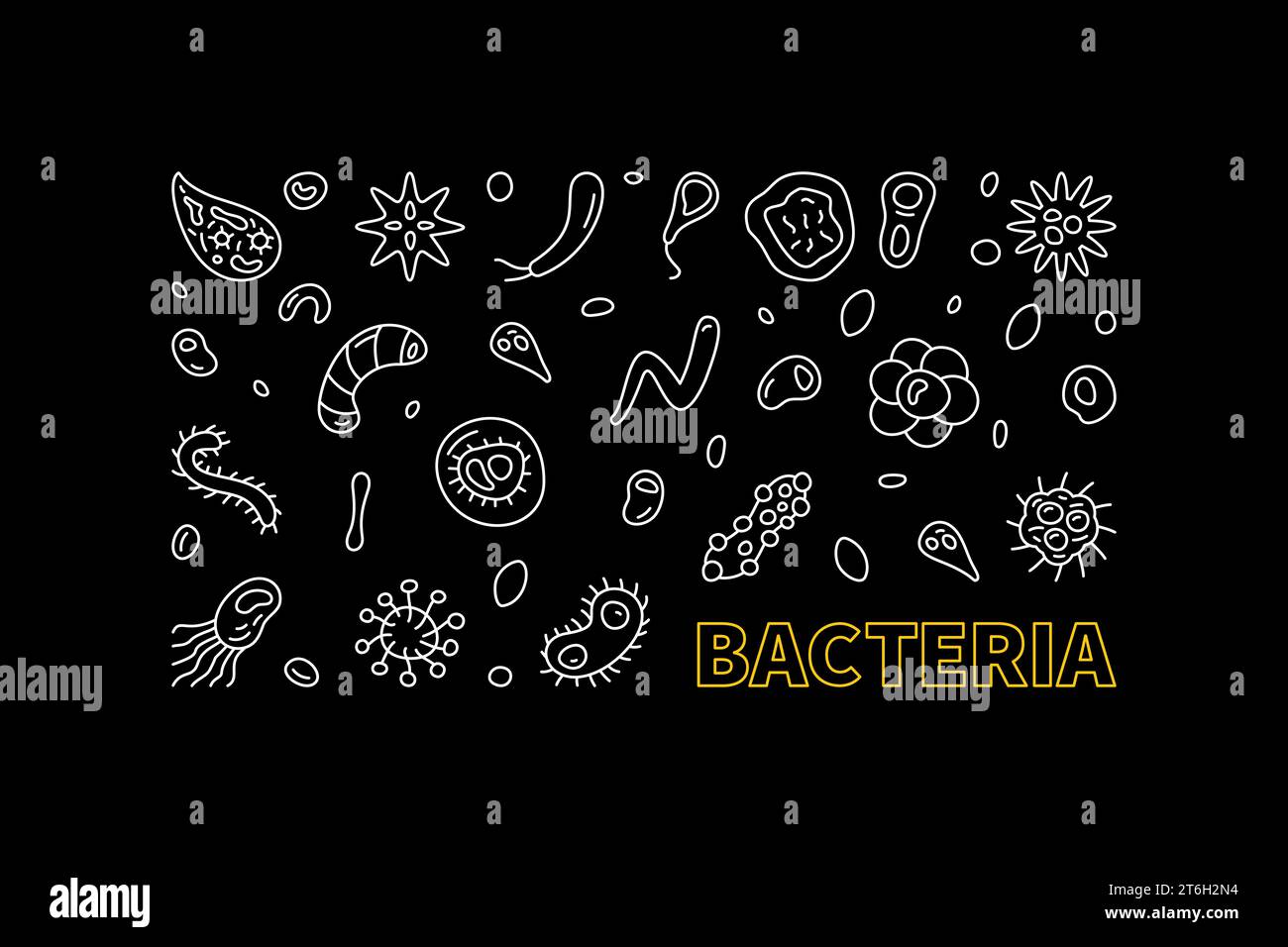 Bacteria concept Science horizontal dark banner with microbes line ...